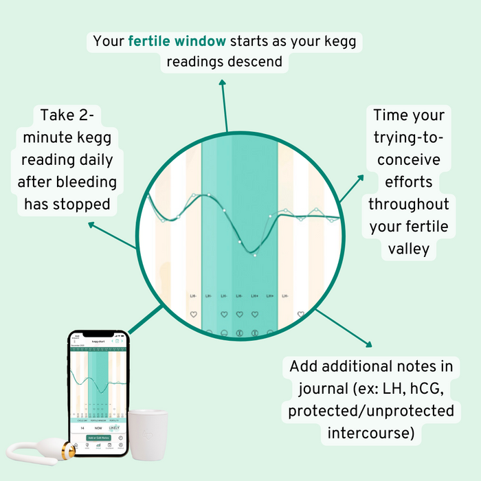 kegg® fertility monitor & kegel ball | Cervical Fluid Monitoring